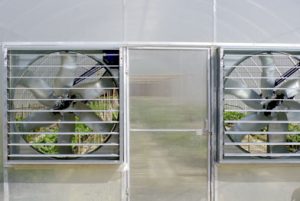Greenhouse Control Systems & Technology - Climate Control Inc.